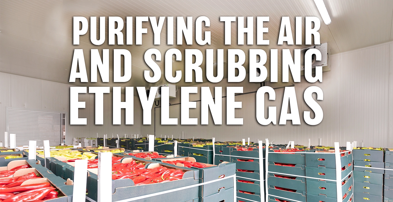 Purifying The Air And Scrubbing Ethylene Gas | Batta Environmental